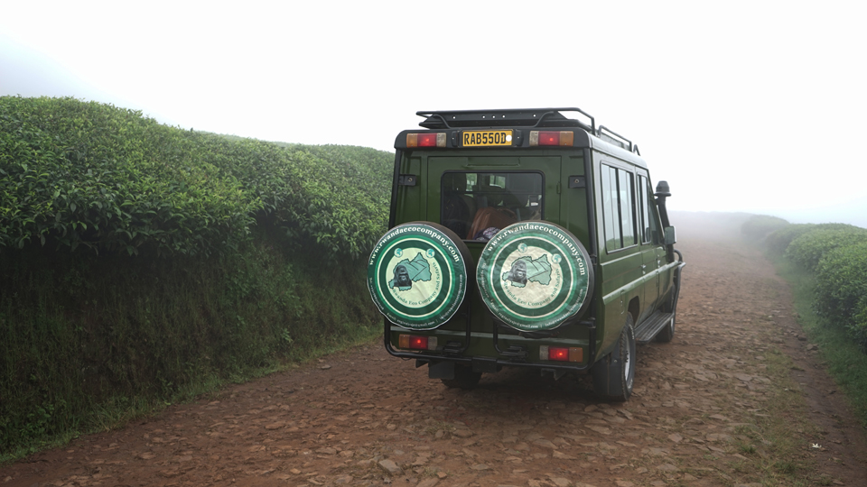 Game Drive at Akagera National Park | Rwanda Wildlife Tours