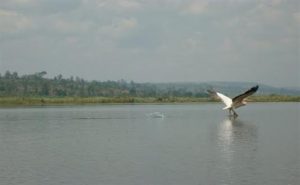 Lake Rwihinda Natural Reserve | Explore the wonders of Burundi