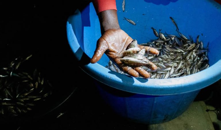 Fishermen Experience on Lake Kivu | Rwanda Eco and Company Safaris