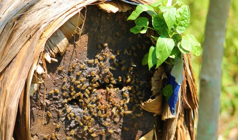 Nkotsi Village | A true taste of Rwandan Culture and Traditions.