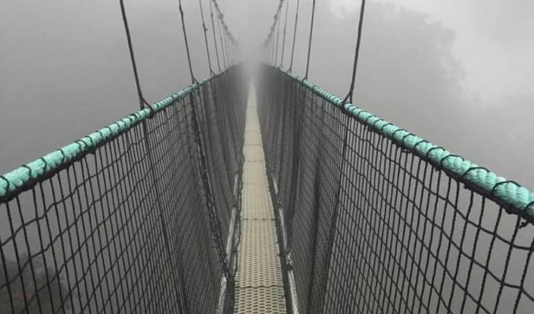 Nyungwe Canopy Walk Experience | Rwanda Eco Company